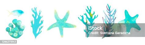 산호초 수채화 일러스트 요소 손으로 그린 수중 바다 생활 장식 세트 흰색 배경에 아름다운 밝은 산호 바다 별 해초 물고기 해양 생물 수채화에 대한 스톡 벡터 아트 및 기타