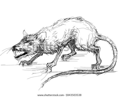 Evil Rat Drawing Stream This Song Was Made By A Very Evil Rat By
