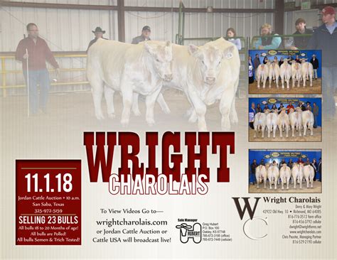 Wright Charolais Bull Sale