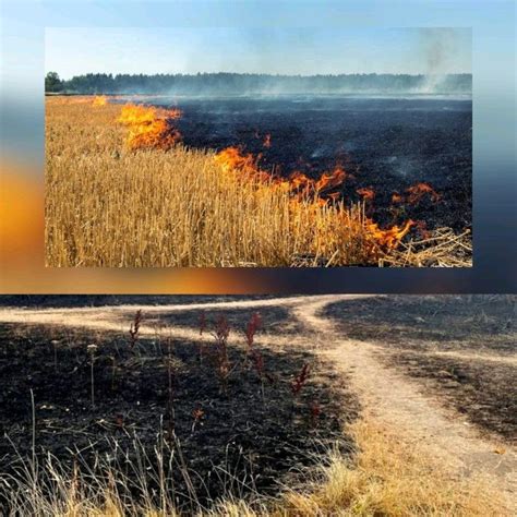 Actonclimate Ensuringfoodsecurity Paschalfarmsinternational Yourfavouritefarmer Paschal