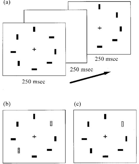 Schematic Representation Of The Layout And Timeline For The Stimuli