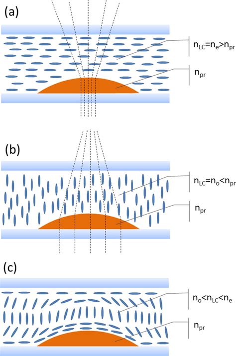 Adaptive Properties Of A Liquid Crystal Cell With A Microlens Profiled Aligning Surface