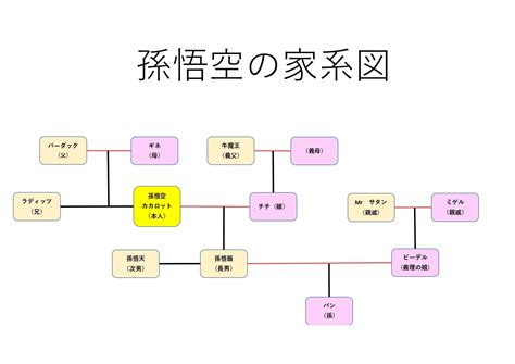 ドラゴンボールの家系図！家族構成が多い孫悟空とベジータを整理