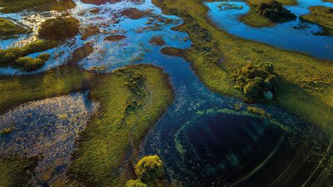 Post 2020 Global Biodiversity Framework Ensuring Protection And Restoration Of Inland Waters