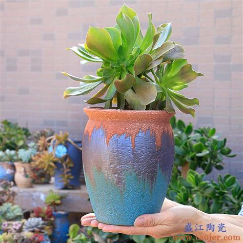 法师花盆大号老桩高盆复古个性透气创意简约陶罐粗陶陶瓷多肉花盆 景德镇名瓷在线