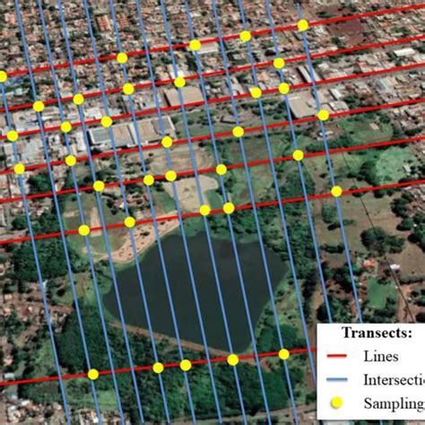 Design Based On Linear Transect With Projected Perpendicular Distances Download Scientific