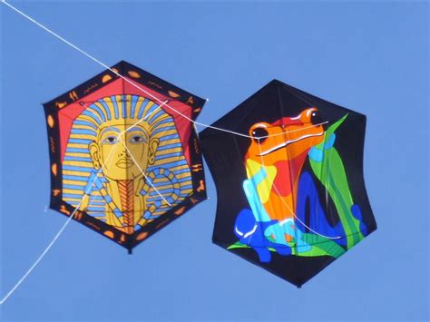 Into The Winds Flight Blog Kite Thoughts