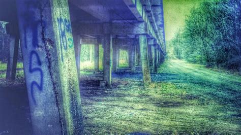 Premium Photo Close Up Of Grass