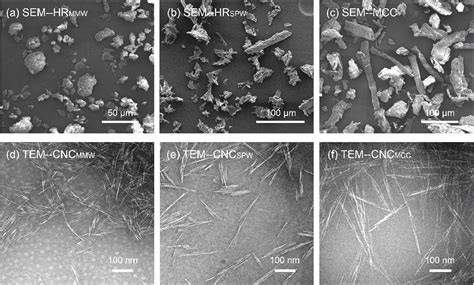 Figure 2 From Preparation And Characterization Of Cellulose Nanocrystals From The Bio Ethanol