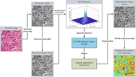 frontiers multi threshold image segmentation for melanoma based on