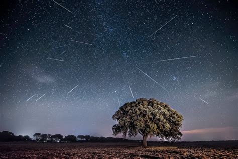 Perseidas Cómo Ver La Lluvia De Estrellas Más Intensa Del Verano Desde