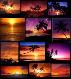 16 Beach Sunsets Ideas Beach Sunrise Sunset Beach Sunset