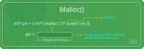 Dynamic Memory Allocation Using C Malloc Calloc Free And Hot Sex Picture