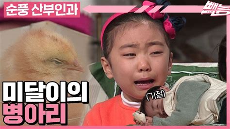 순풍 산부인과 미달의 애지중지 병아리🐤가 있었는데요 사라졌습니다👻 │214화 Youtube 순풍 산부인과 미달의 애지중지 병아리🐤가 있었는데요 사라졌습니다👻 │214화 Youtube