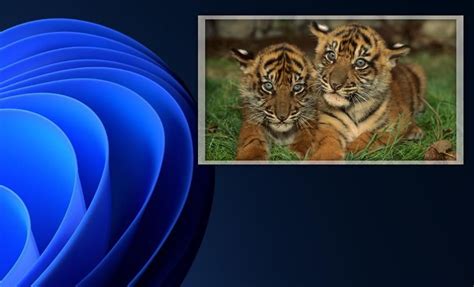 Cómo agregar una foto superpuesta al fondo de escritorio de Windows 11