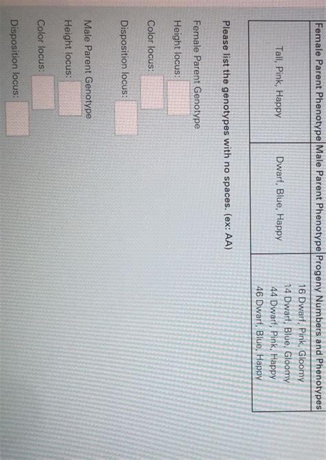 Solved Female Parent Phenotype Male Parent Phenotype Progeny Chegg