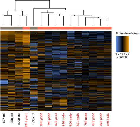 Heatmap Clustering Of Gene Expression In Archival Lymph Nodes Samples Download Scientific