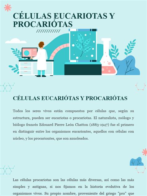 Células Procariótas Y Eucariótas Pdf