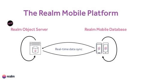 Introduction To Realm Mobile Platform