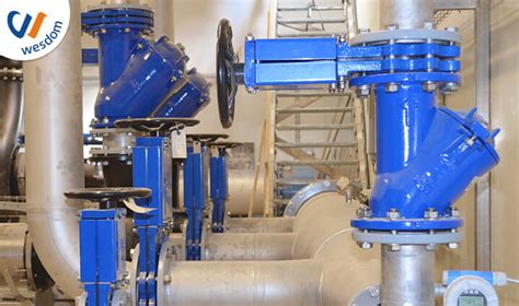 Installation And Maintenance Of Strainer Your Exclusive Purchasing