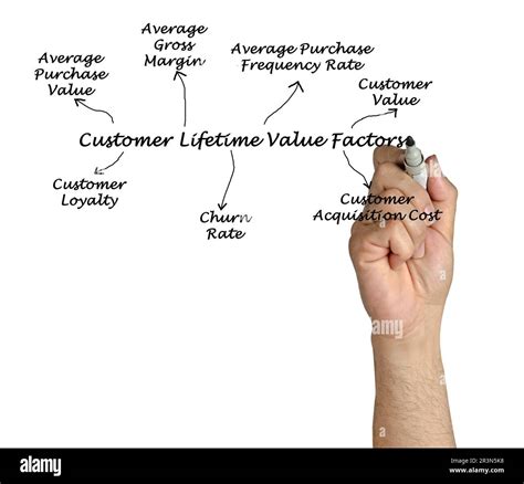 Seven Customer Lifetime Value Factors Stock Photo Alamy