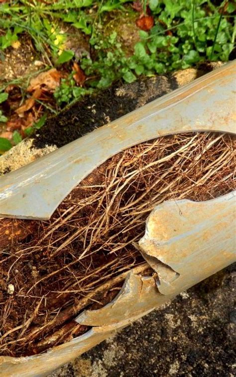 Clear Blocked Drains In Campbelltown With Drain Blast Fast And Effective