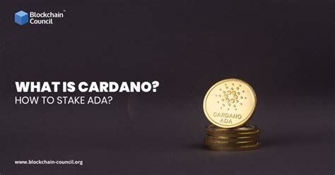 What Is Cardano How To Stake ADA Cardano Feed