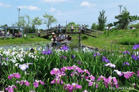 水郷佐原水生植物園 Plants Plant Planets