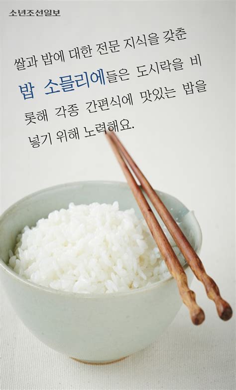 편의점 삼각김밥 도시락은 어떻게 만들까 네이버 포스트