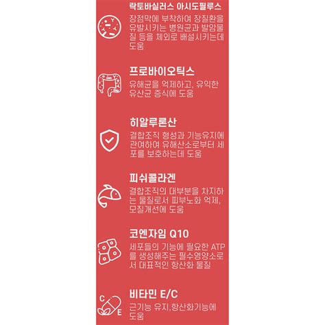 닥터리 프리미엄 영양제 피부and장 건강 영양제 30캡슐 강아지대통령