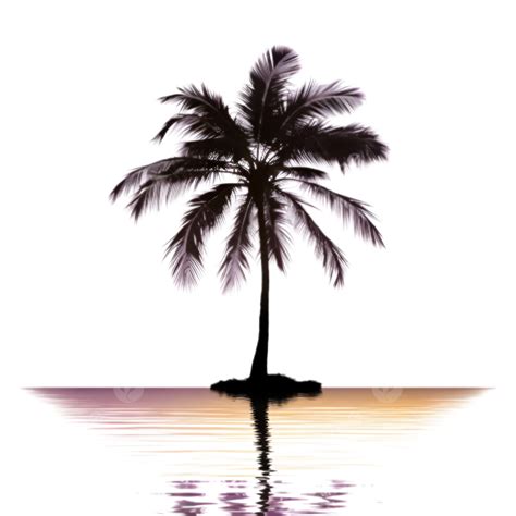 Coconut Tree Silhouette Beach Black Illustration Coconut Tree
