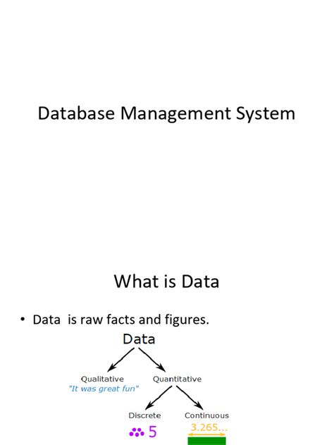 Database Management System Lecture01 Pdf