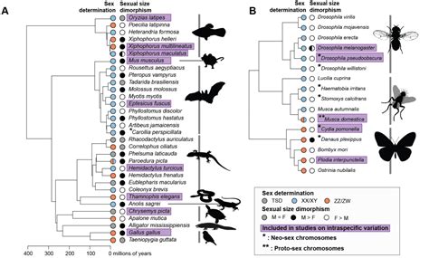 About Integration Initiative Sex Aging Genomics And Evolution Iisage