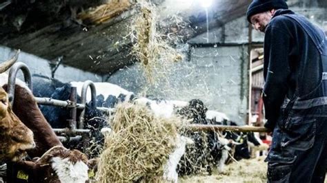 90 Boeren Last Van Negatieve Beeldvorming Media Zijn Te Snel En
