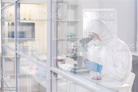 실험실에서 바이러스 및 해독제를 연구하는 보호 작업복의 실험실 작업자 실험실에 대한 스톡 사진 및 기타 이미지 실험실 병원