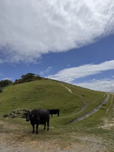 Best Moderate Trails In Dublin Hills Regional Park Alltrails