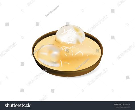 Dudh Chitoi Pitha Over 1 Royalty Free Licensable Stock Vectors