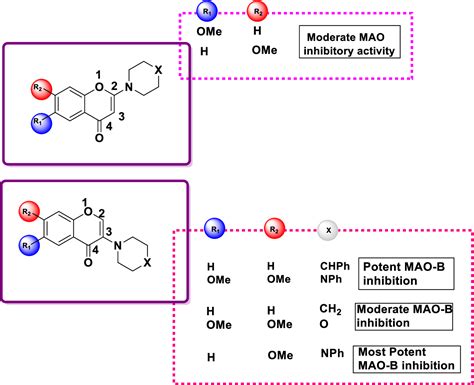 Figure 1 From A Concise Review Of The Recent Structural Explorations Of
