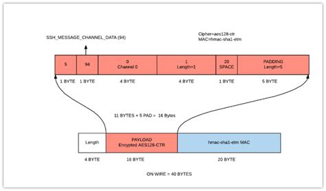 Traffic Analysis Of Secure Shell SSH Trisul Network Analytics