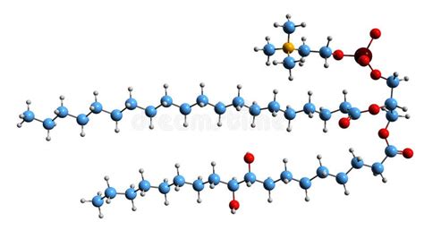 Modified Lecithin Stock Illustrations 1 Modified Lecithin Stock