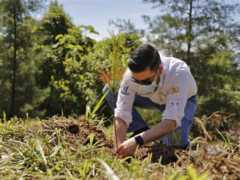 Día De La Reforestación Nacional De Las Áreas Protegidas