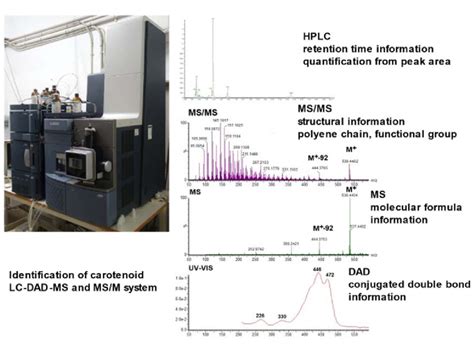 Identification And Quantification Of Natural Carotenoids By Lc Dad Ms