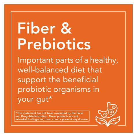 Now Foods Prebiotic Fiber With Fibersol 2 12 Oz 340 G