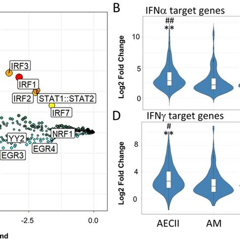 Infection With Iav Leads To The Broad Upregulation Of Genes In Primary Download Scientific