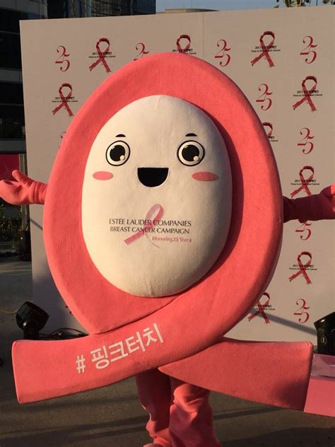 핑크핑 에스티 로더 컴퍼니즈 코리아 L Estee Lauder Companies Korea Market