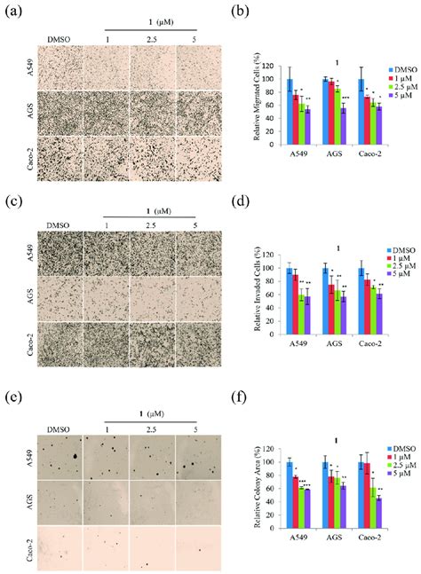 The Effects Of 1 On The Motility And Tumorigenicity Of A549 Ags And