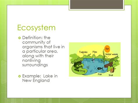 Ecosystem Definition Science
