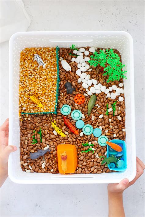 How To Make An Animal Sensory Bin • One Lovely Life