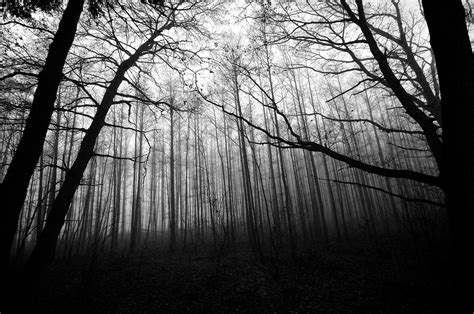 Lost My Way By Augenweide On Deviantart