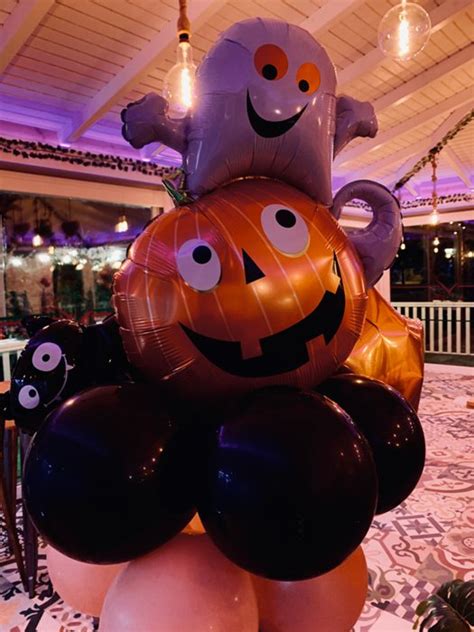 Vida Sana Park إستيبونا Working Hours Activities Visitor Reviews Safarway 2024